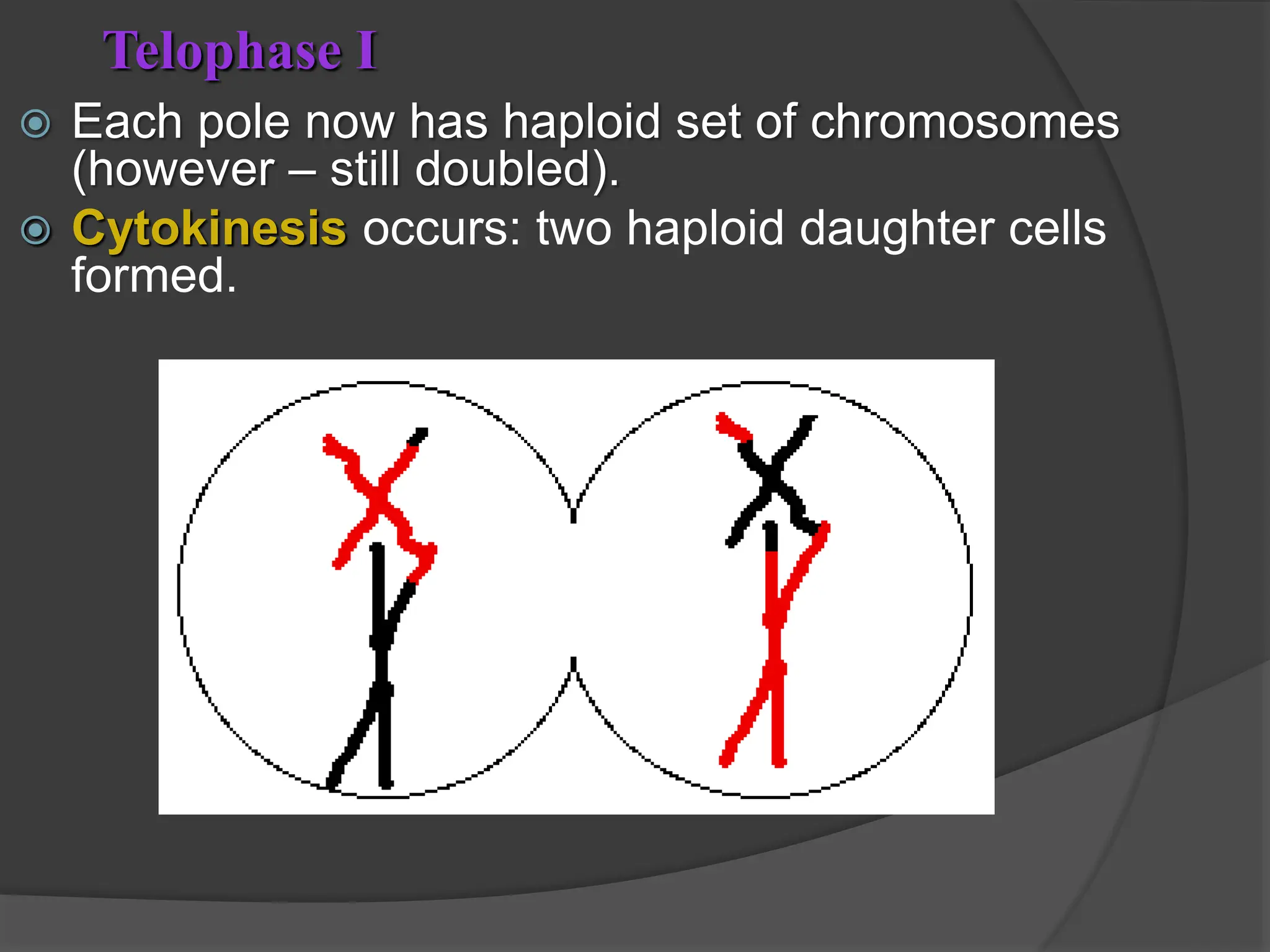 Meiosis Cell Division- General Biology-1 | PPT
