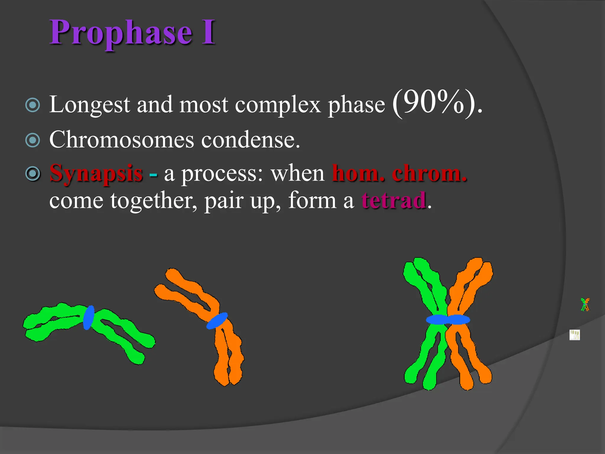Meiosis Cell Division- General Biology-1 | PPT