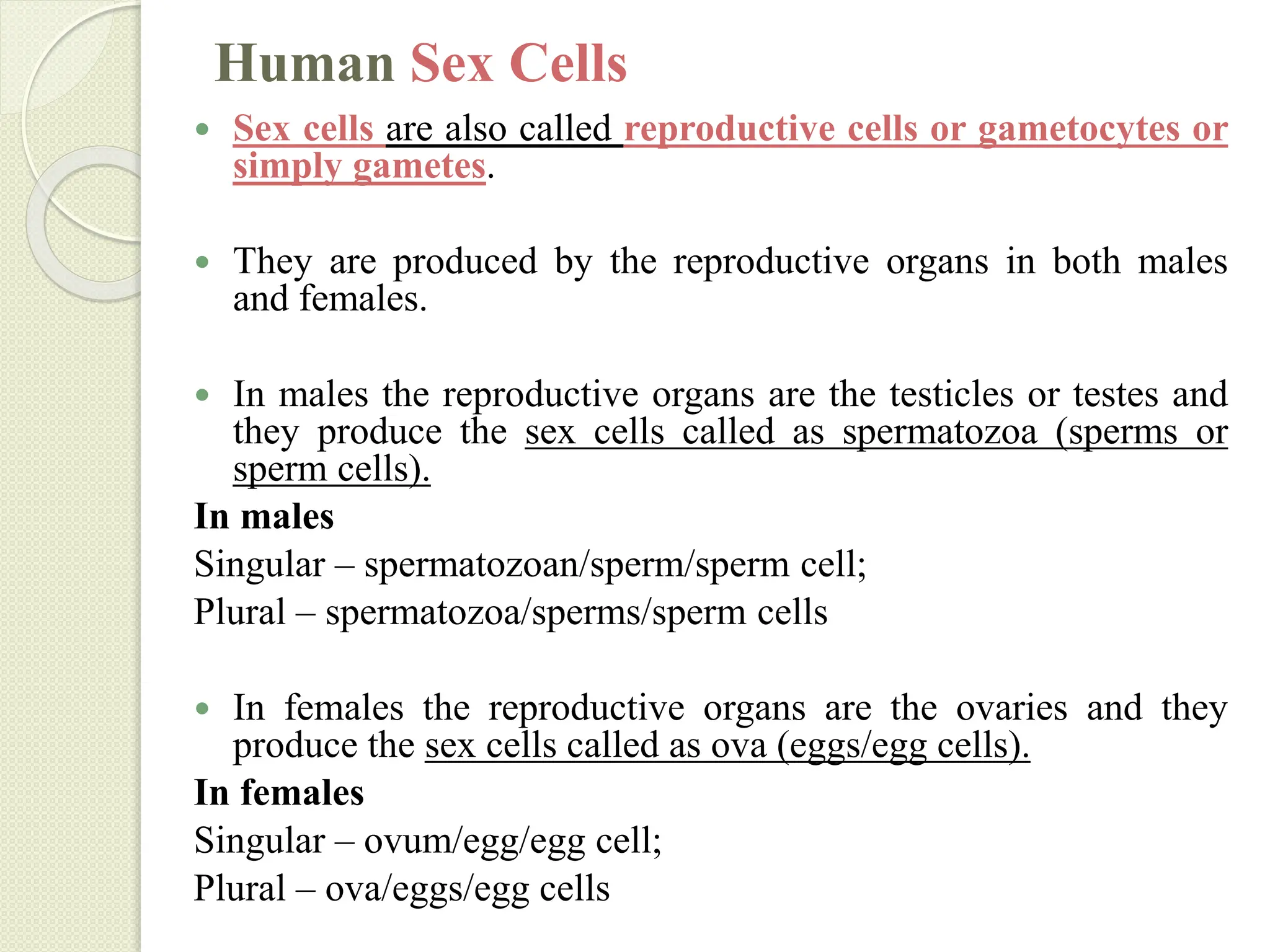Meiosis presentation for bsc students pptx | PPTX