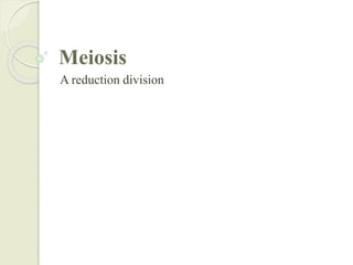 Meiosis presentation for bsc students pptx | PPT