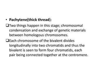MEIOSIS.ppt notes on meiosis that occurs in human | PPT