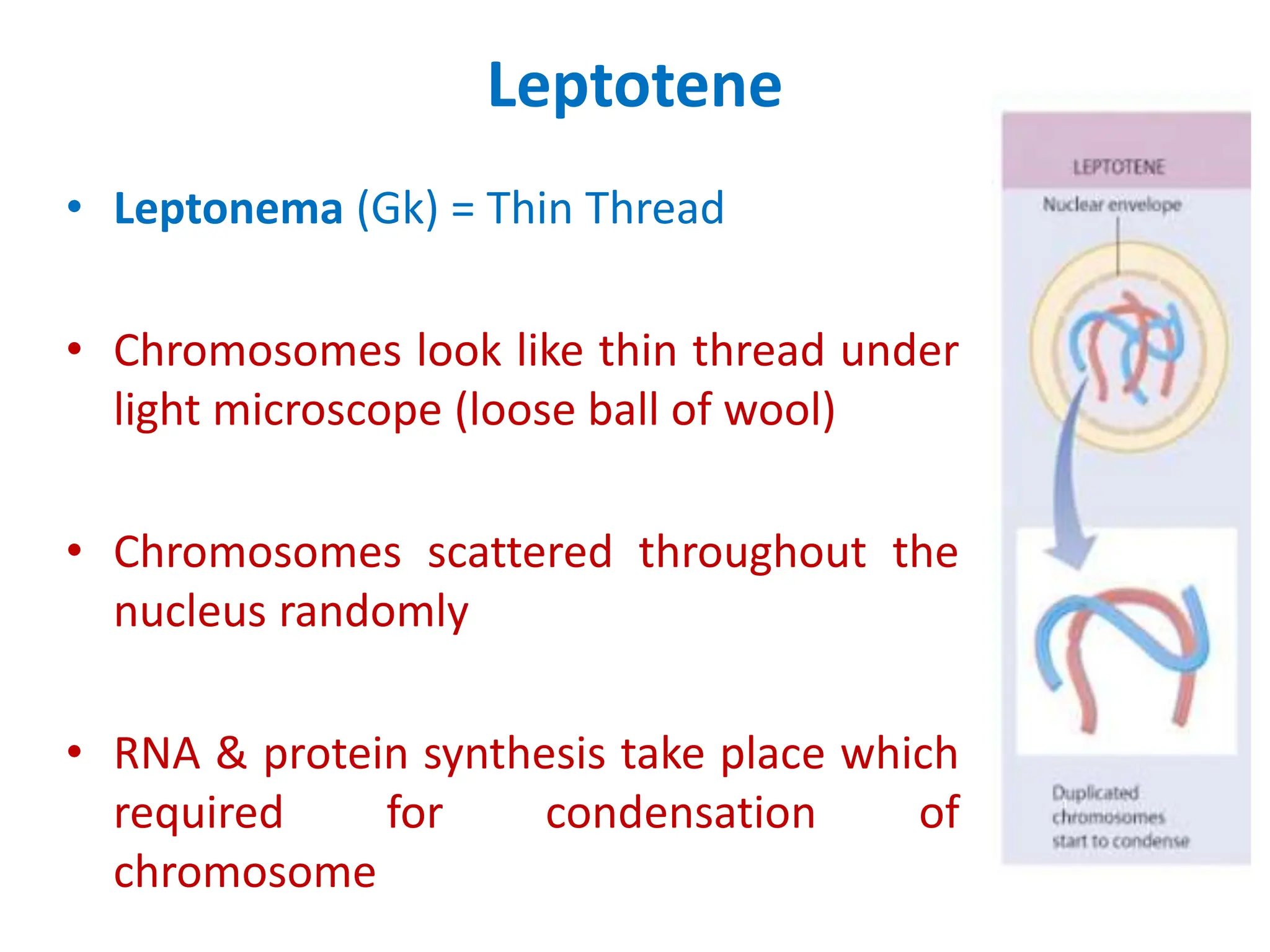 Meiosis in plant cell system and division.ppt