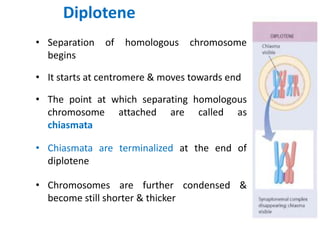 Meiosis in plant cell system and division.ppt