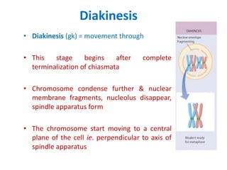 Meiosis in plant cell system and division.ppt