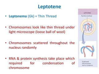 Meiosis in plant cell system and division.ppt