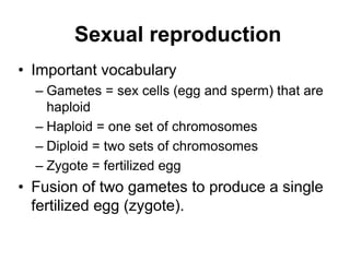 male, female,genes,reproduction&meiosis.ppt