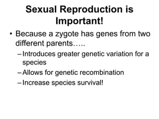 male, female,genes,reproduction&meiosis.ppt