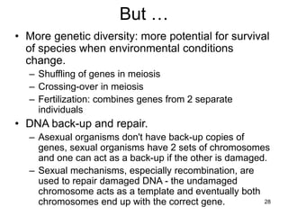 male, female,genes,reproduction&meiosis.ppt