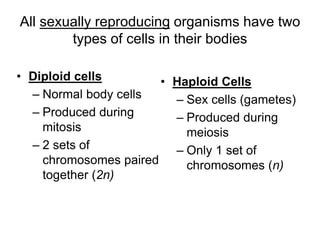 male, female,genes,reproduction&meiosis.ppt