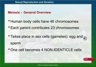 Cell Division-The Meiosis and its Stages | PPT