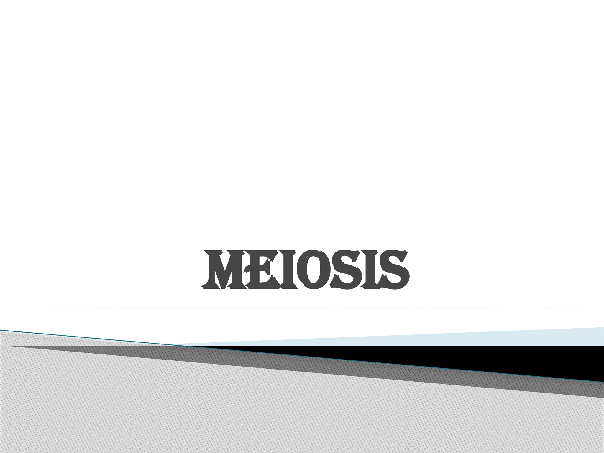 Meiosis (Meiosis I and Meiosis II)- Outline | PPTX