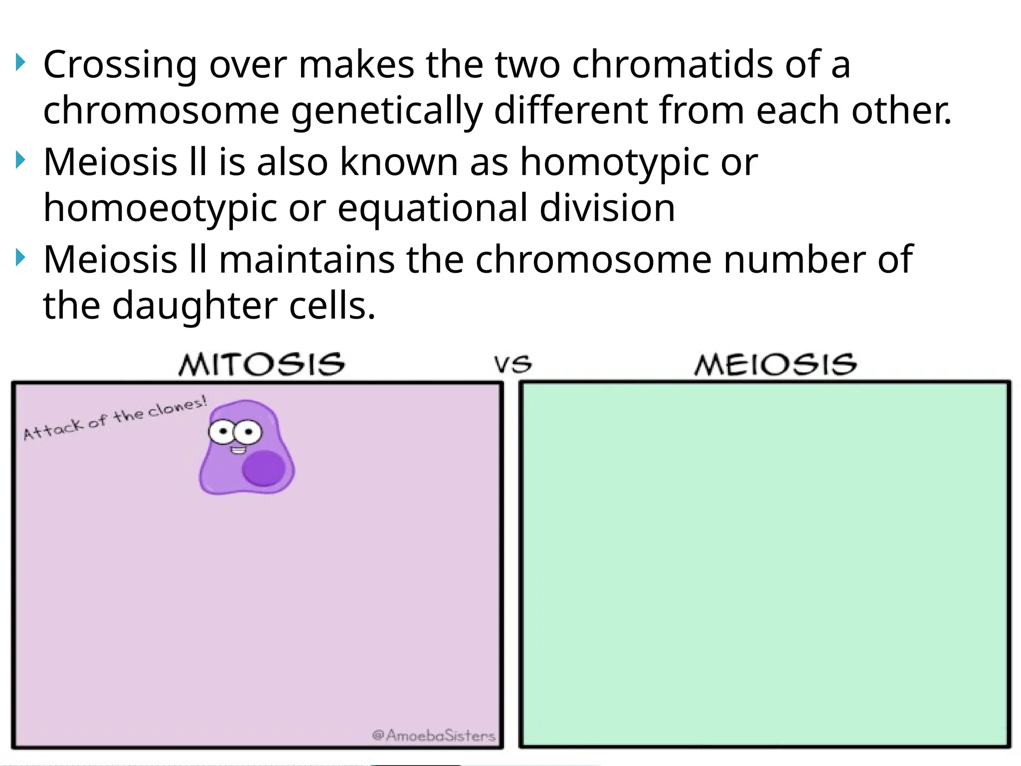 Meiosis (Meiosis I and Meiosis II)- Outline | PPTX