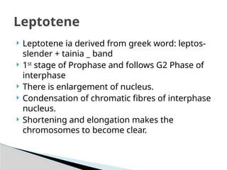 Meiosis (Meiosis I and Meiosis II)- Outline | PPTX
