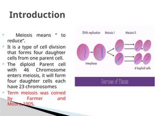 Meiosis (Meiosis I and Meiosis II)- Outline | PPTX