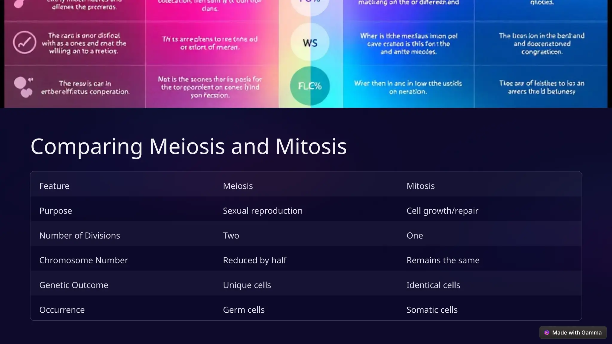 meiosis and its processes: a step by step | PPTX