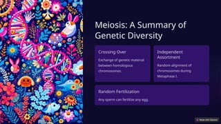 meiosis and its processes: a step by step | PPTX