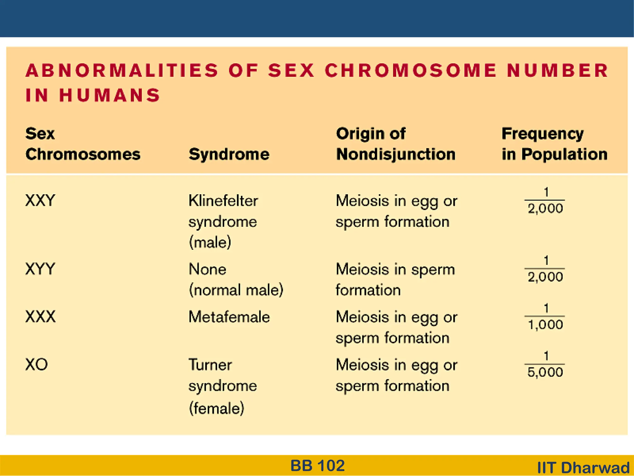 Meiosis cell division biology ppt .pptx