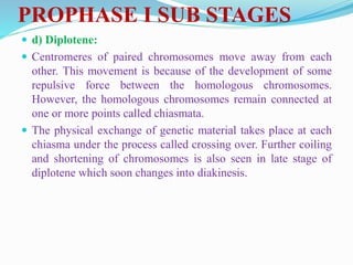 Meiosis converted(1) | PPT