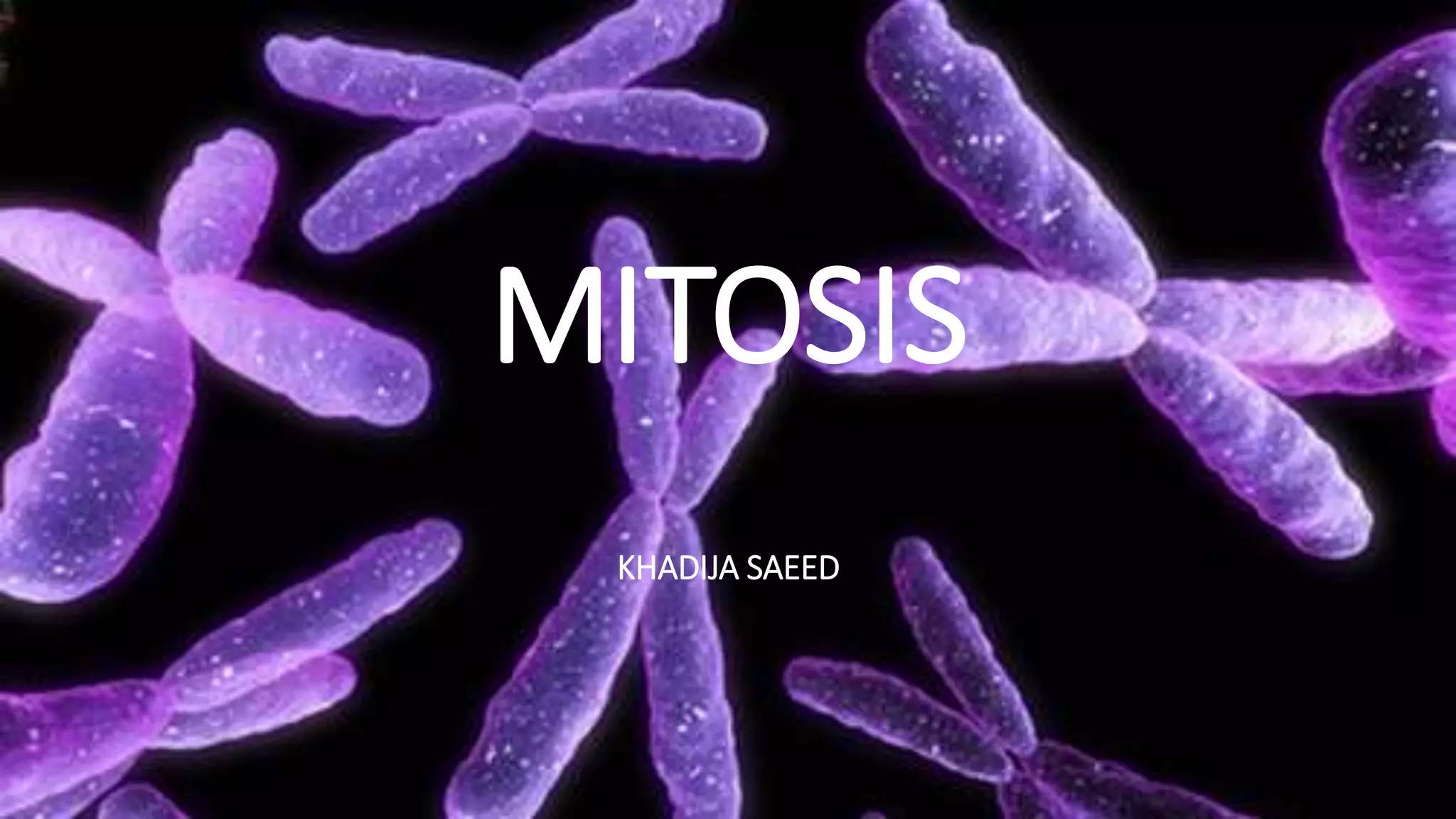 MITOSIS AND MEIOSIS (cell division) | PPTX