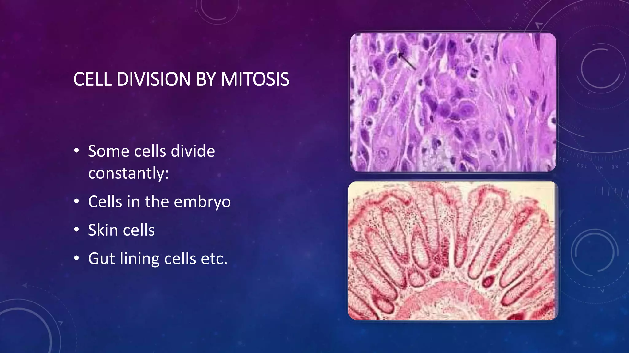 MITOSIS AND MEIOSIS (cell division) | PPTX