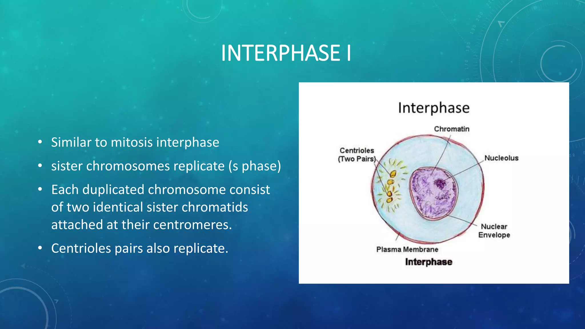 MITOSIS AND MEIOSIS (cell division) | PPTX