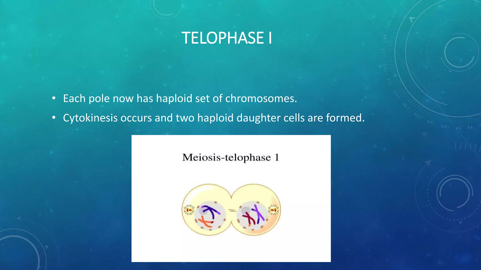 MITOSIS AND MEIOSIS (cell division) | PPTX
