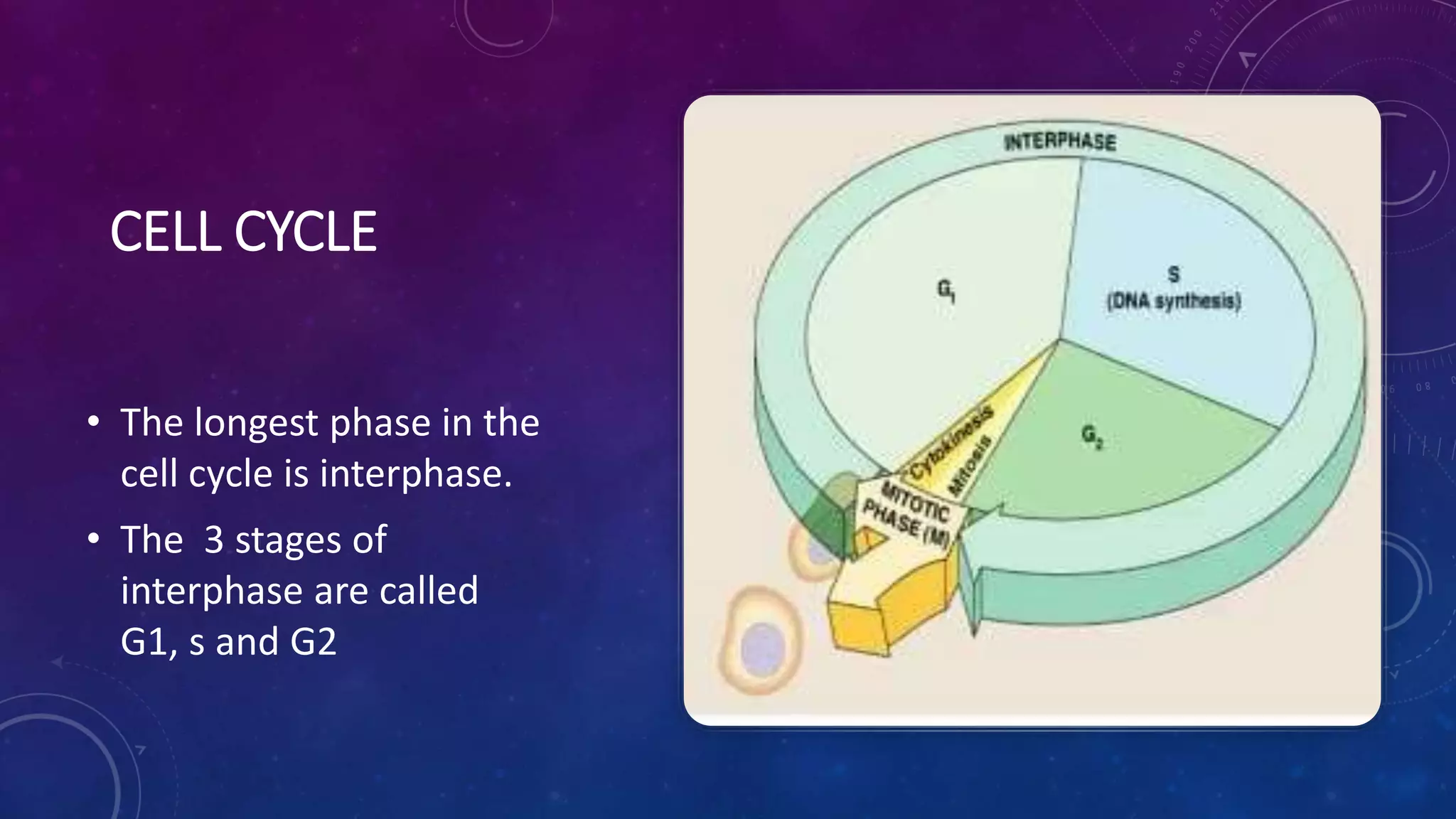 MITOSIS AND MEIOSIS (cell division) | PPTX