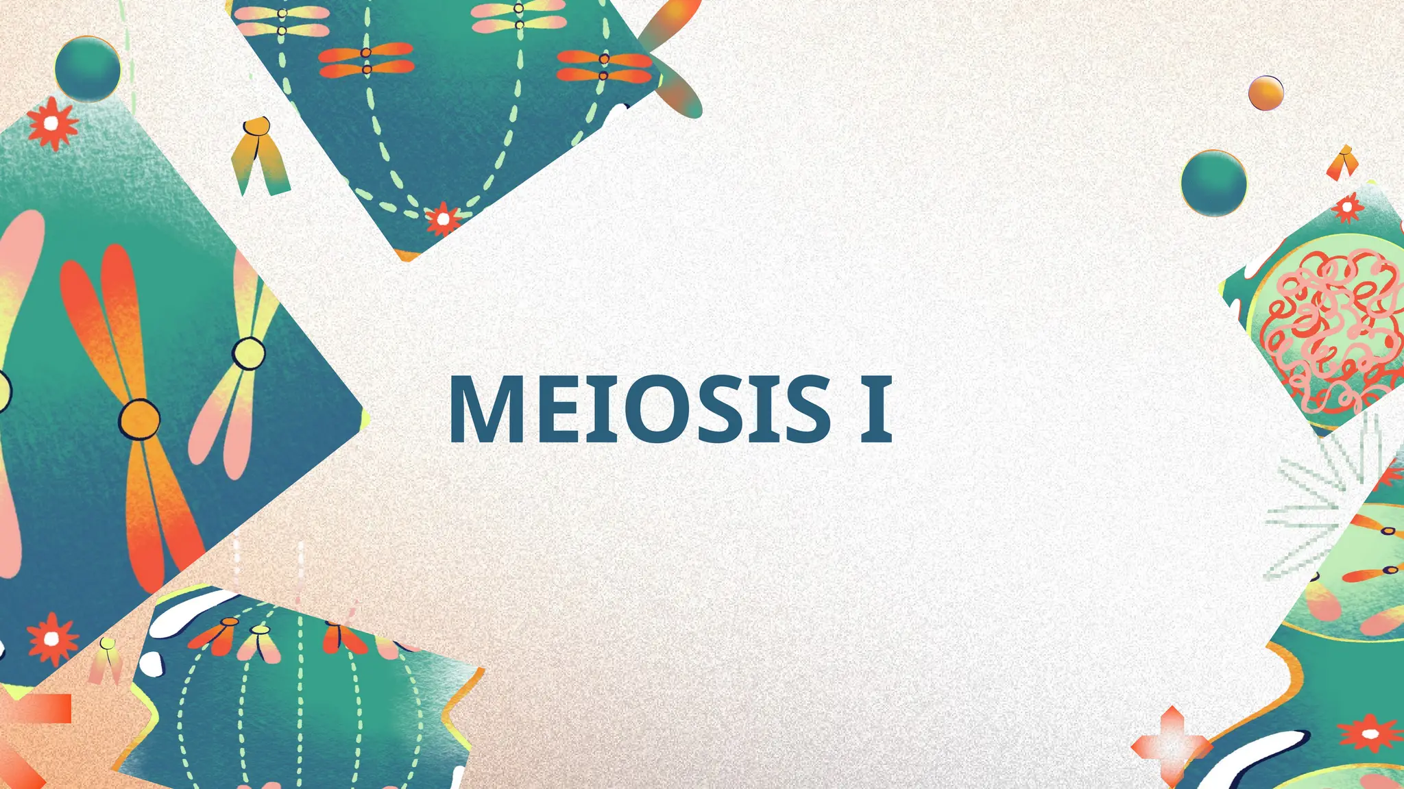 The Process of Meiosis also known as PMAT.pptx