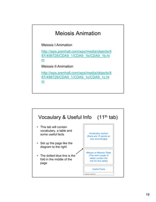 Meiosis foldable2 slides-per_page (1) | PDF | Needlework | Arts and Crafts