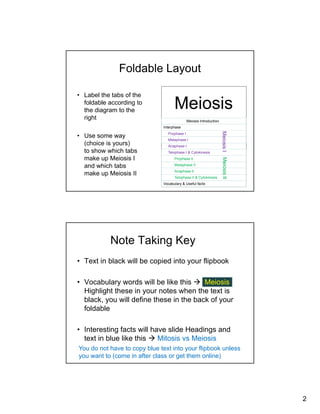 Meiosis foldable2 slides-per_page (1) | PDF | Needlework | Arts and Crafts