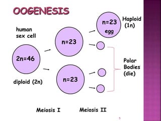 meiosis reduction-division Genetic Recombination | PPTX