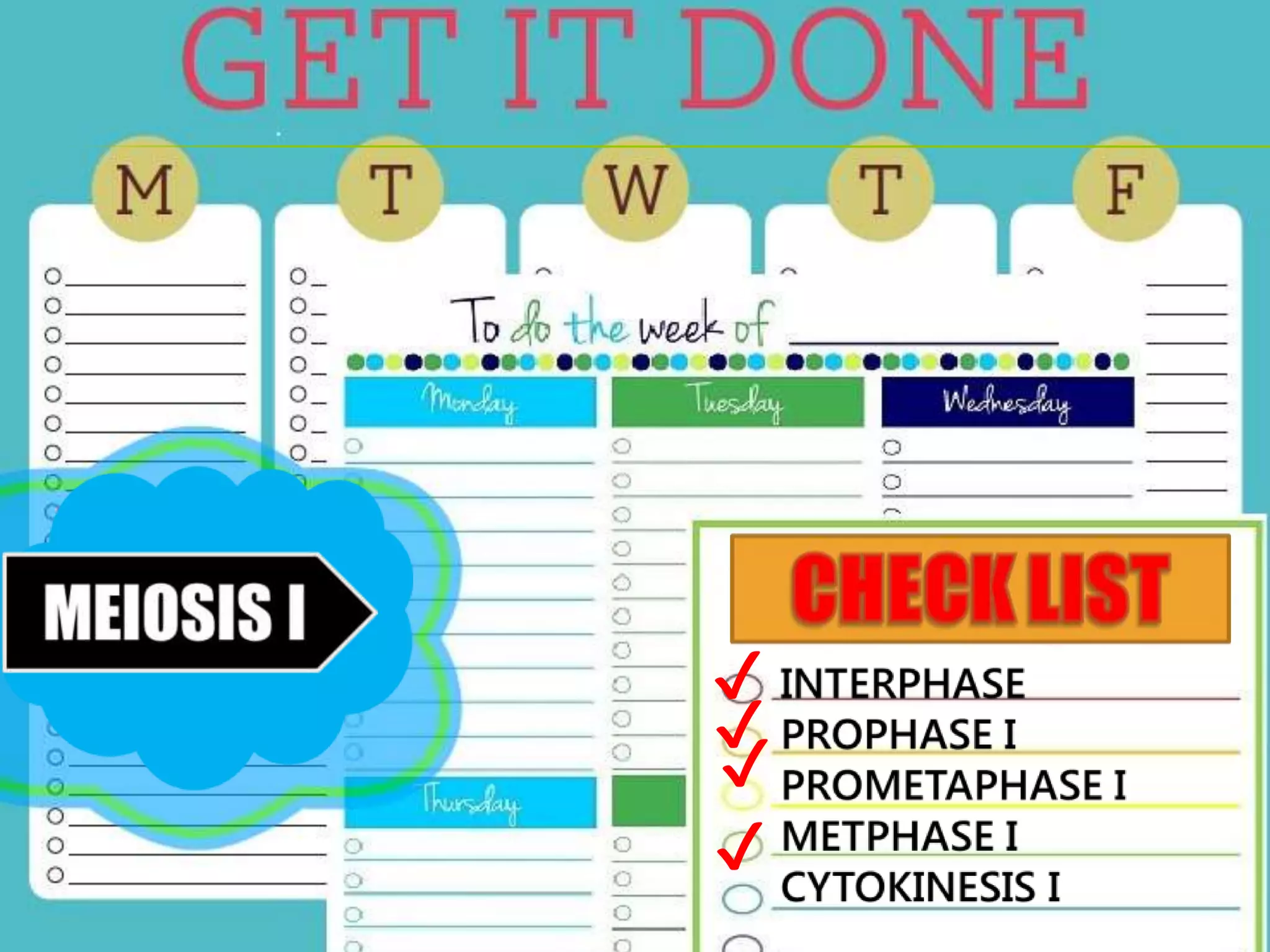 Meiosis Pptx