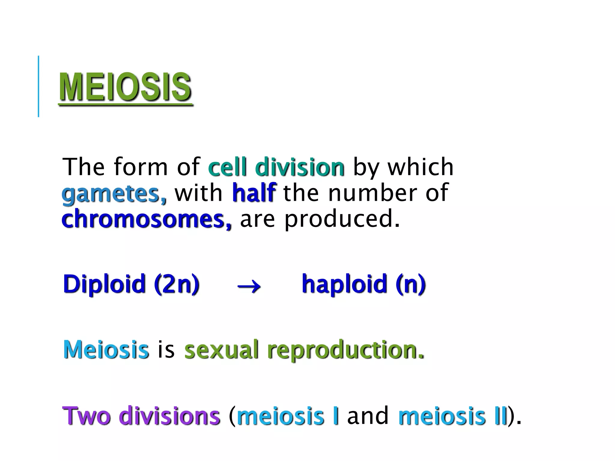 meiosis-ppt.2014-Copy (1).ppt