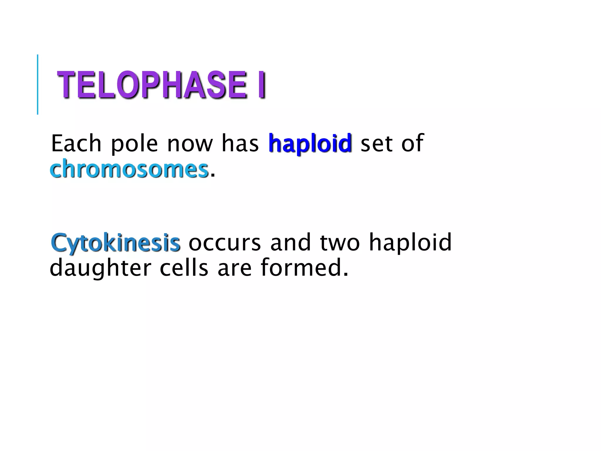 Meiosis Ppt 2014 Copy 1 Ppt