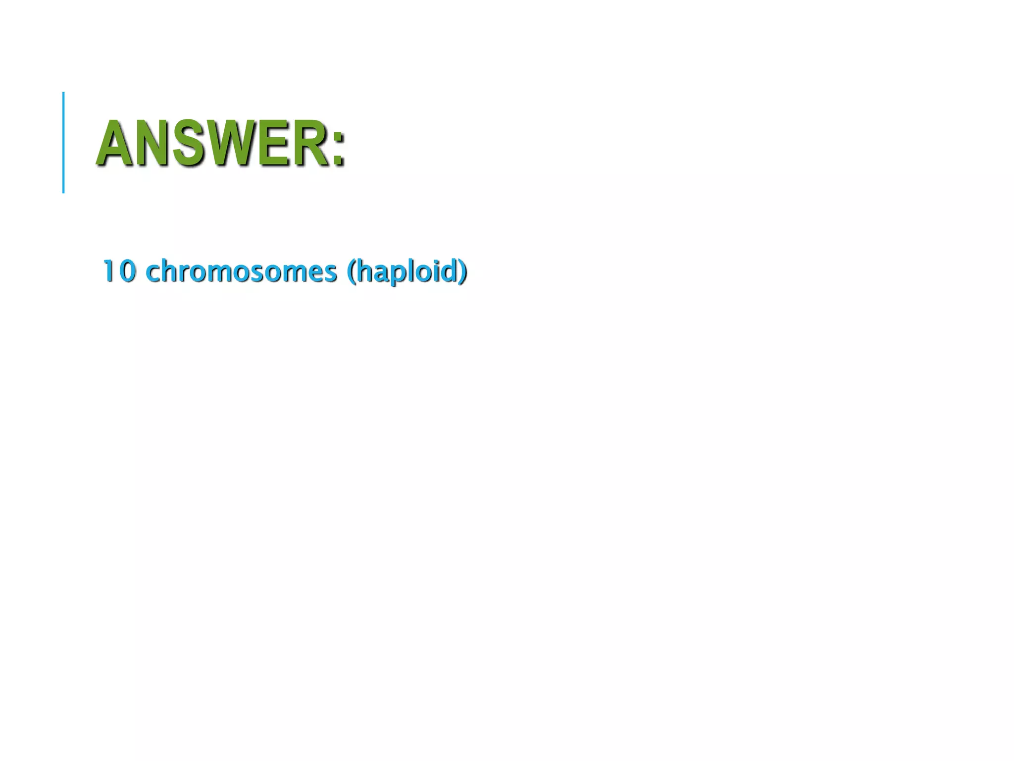 Meiosis Ppt 2014 Copy 1 Ppt