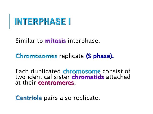 Meiosis Ppt 2014 Copy 1 Ppt