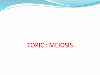 Meiosis | PPT