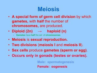 MEIOSIS IN GENETIC NURSINGS (1).ppt.pptx