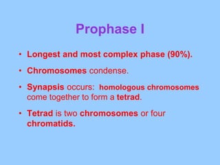 MEIOSIS IN GENETIC NURSINGS (1).ppt.pptx