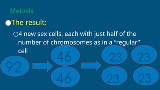 Meiosis Cell Division and differences from mitosis | PPTX