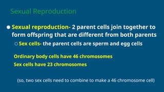 Meiosis Cell Division and differences from mitosis | PPTX