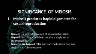 MEIOSIS (cell division on cells) (1).pptx