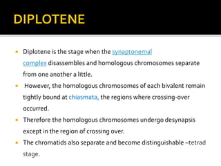 Meiosis-THE REDUCTIONAL DIVISION | PPT