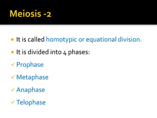 Meiosis-THE REDUCTIONAL DIVISION | PPT