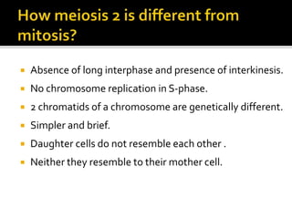 Meiosis-THE REDUCTIONAL DIVISION | PPT