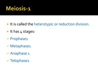 Meiosis-THE REDUCTIONAL DIVISION | PPT
