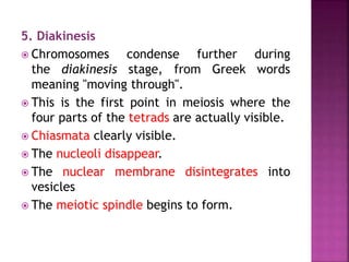 Meiosis | PPTX