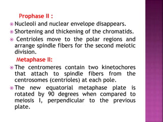 Meiosis | PPTX