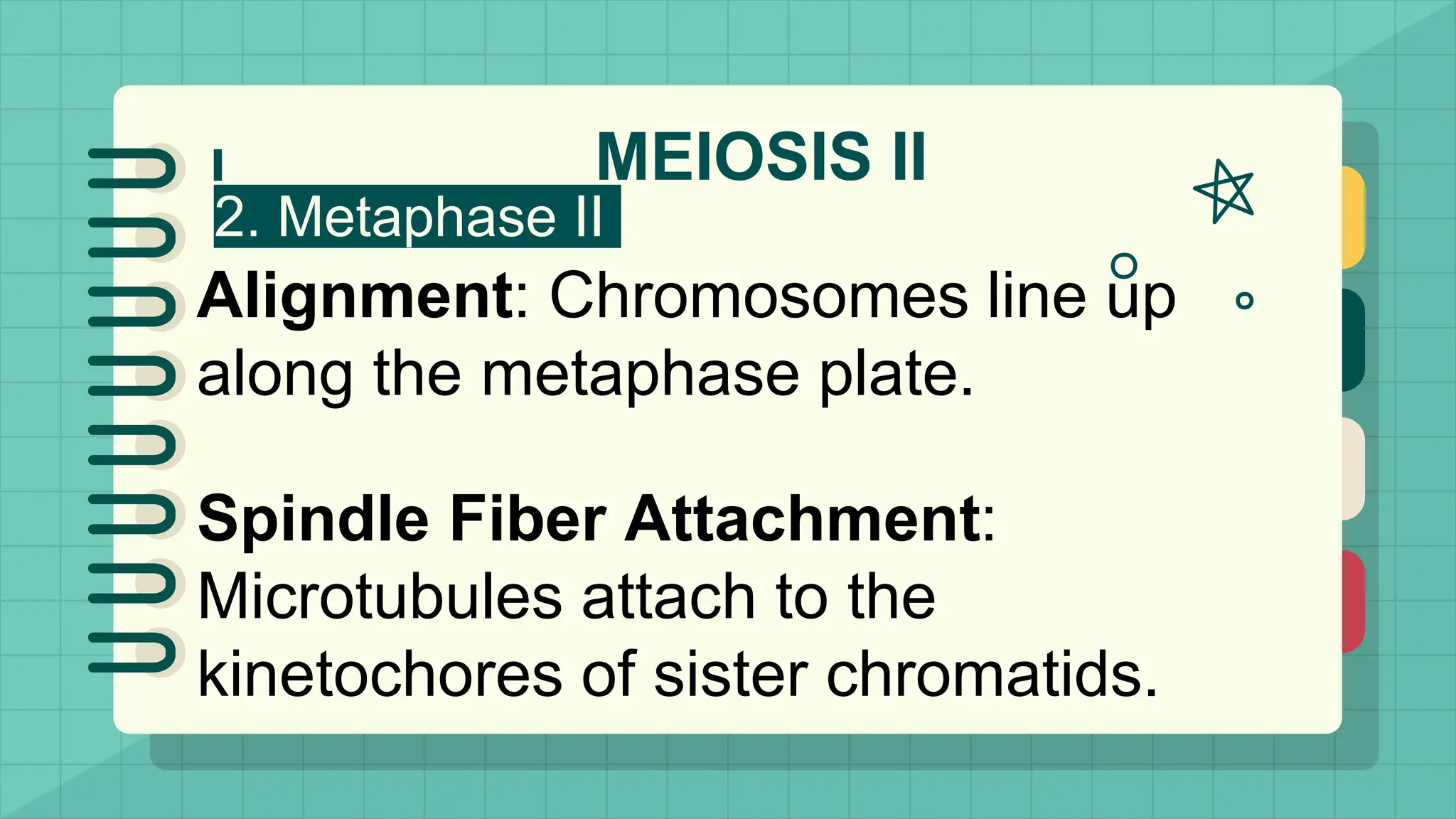 Meiosis General Biology 1 Quarter 2 Lesson 6 Pdf