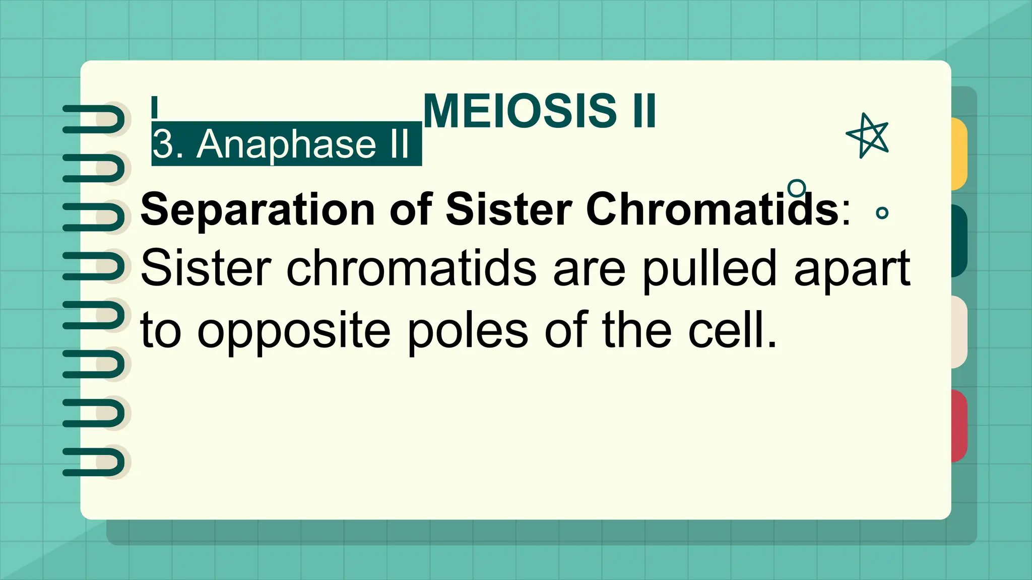 Meiosis General Biology 1 Quarter 2 Lesson 6 Pdf